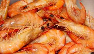 westcoastseafoodsw – west coast seafood